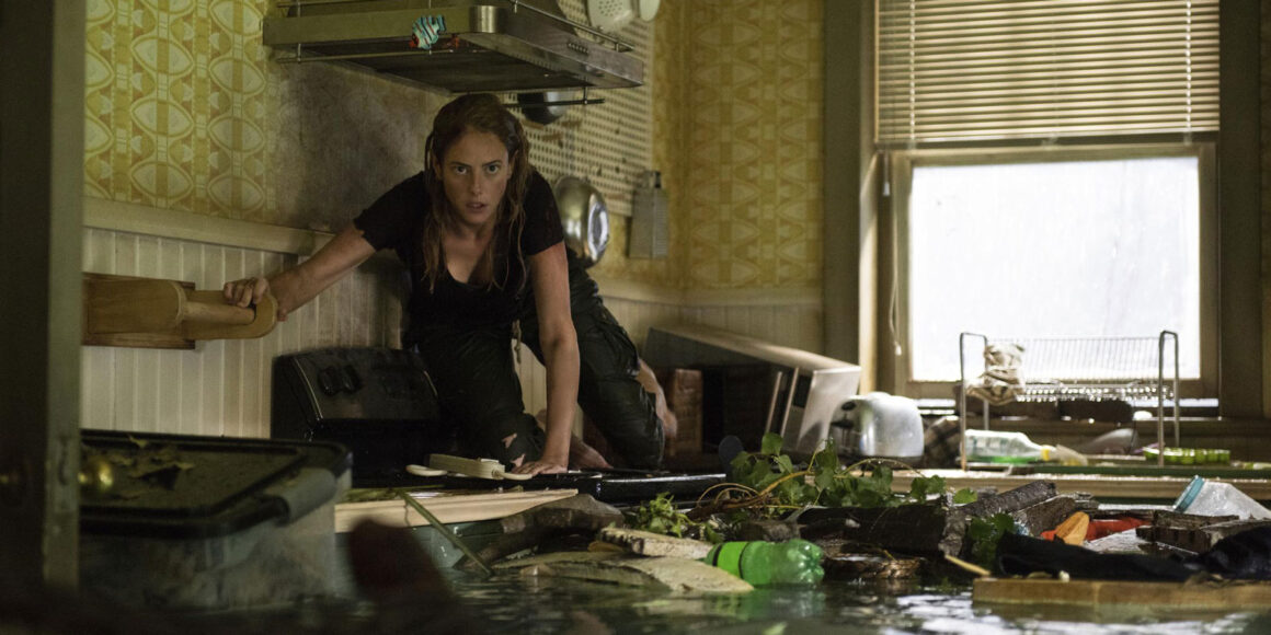 Movie Review: Crawl (2019) - The Critical Movie Critics