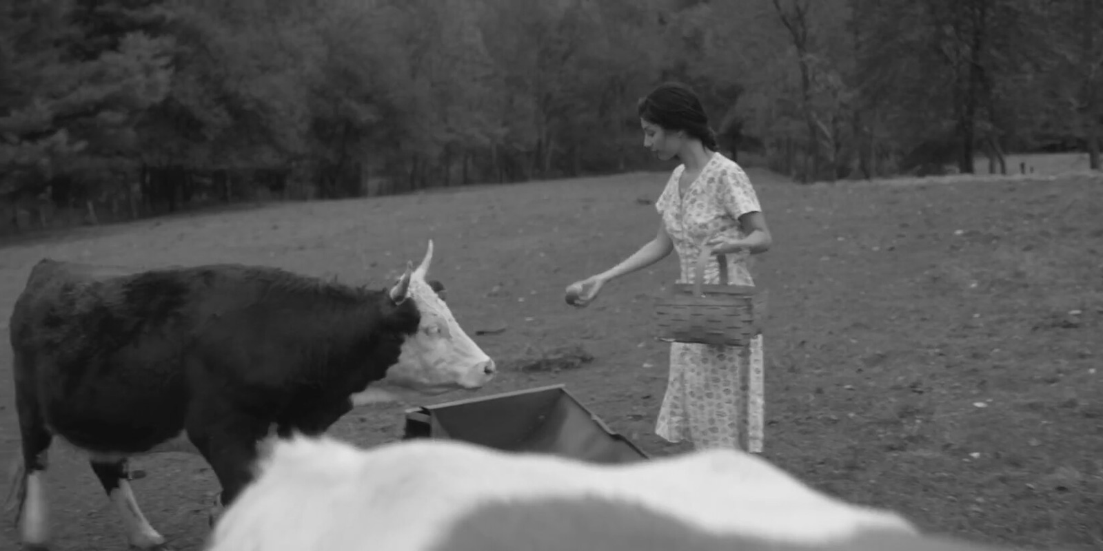 Archives for Audrey Rosenberg as a Producer